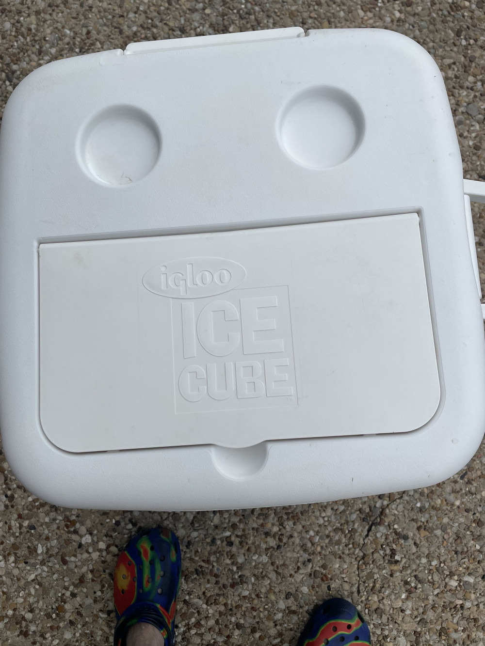 Igloo Ice Cube cooler - Swico Auctions