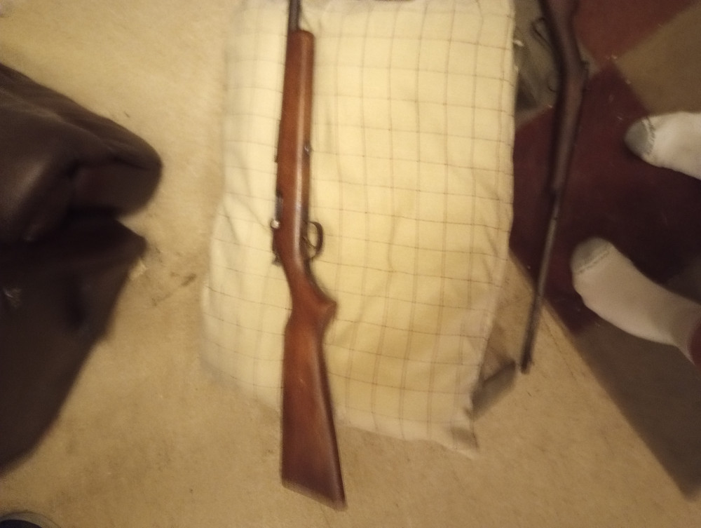 Springfield model 15.22 single shot rifle - Swico Auctions