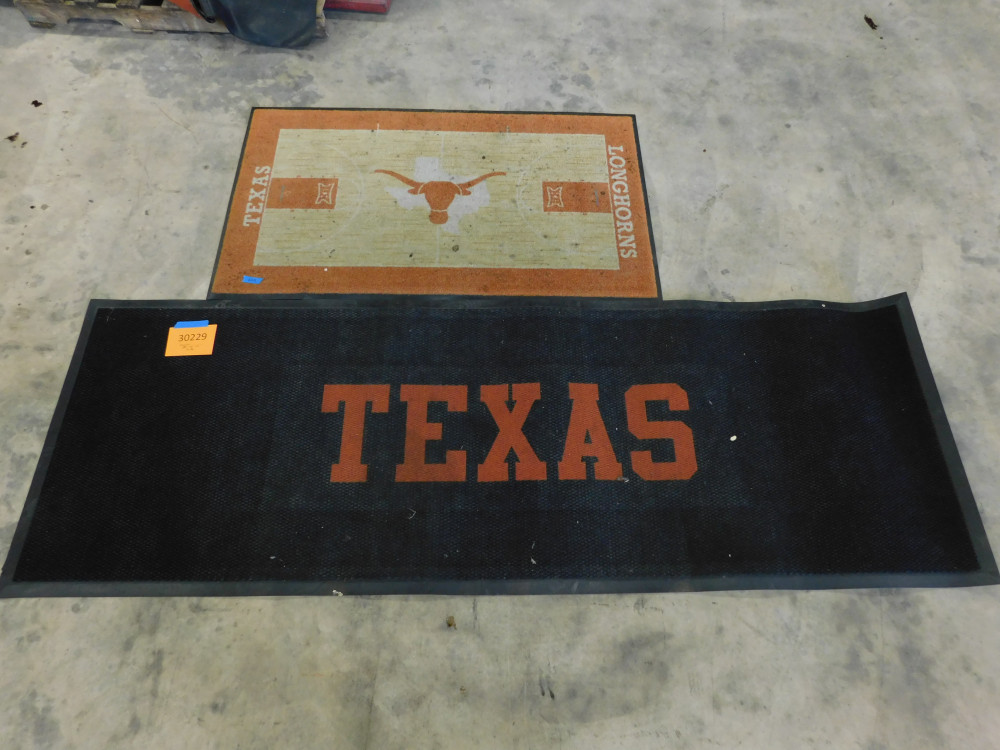 2 Texas Longhorn Rugs - Swico Auctions
