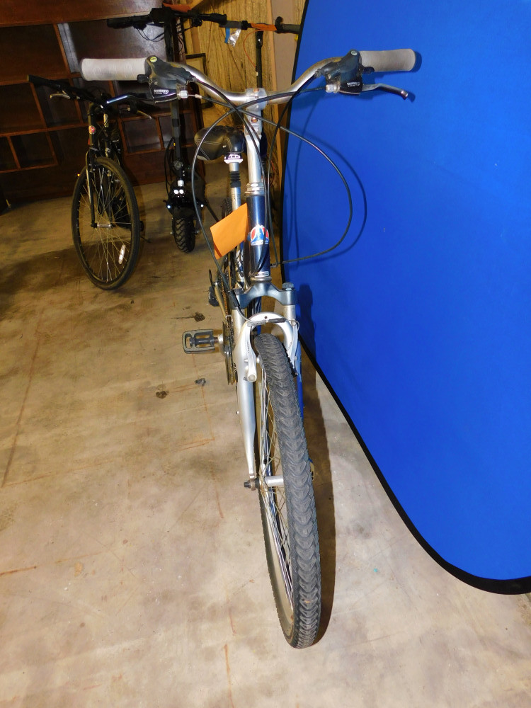 Fuji Cruiser Bike - Swico Auctions