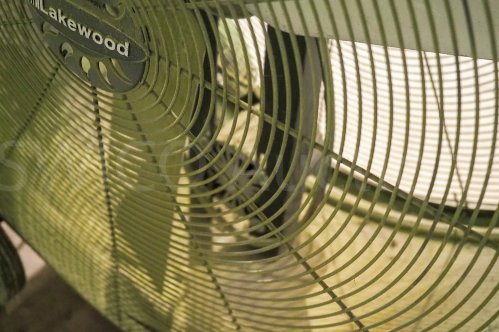 Lakewood fan - Swico Auctions