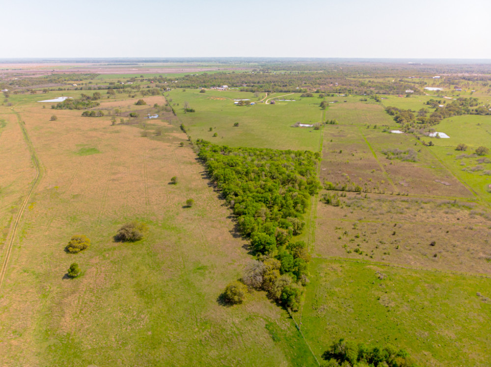 10231 FM 1361, 60 Acres in Somerville Texas - Swico Auctions