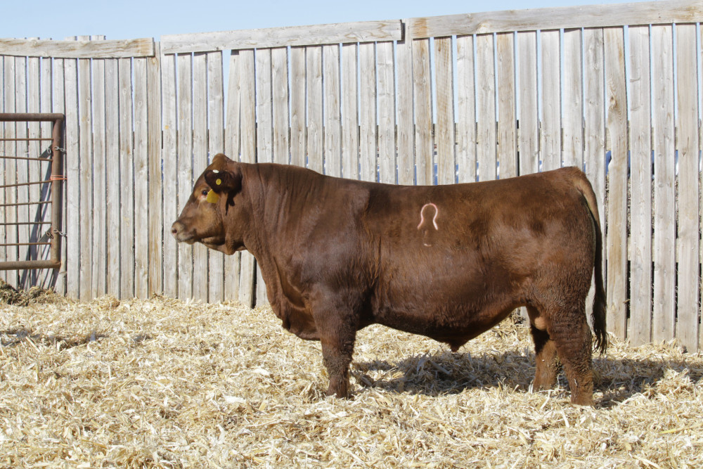 LCHMN First Class W570K - Leachman Cattle Company