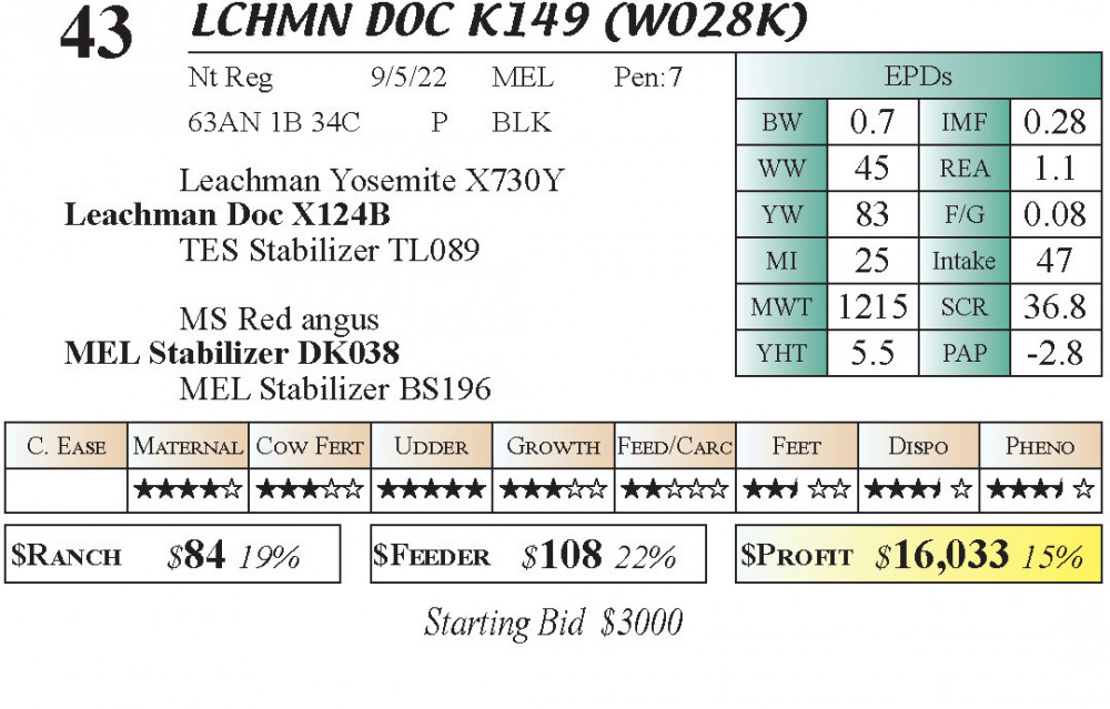LCHMN Doc K149 (W028K) - Leachman Cattle Company