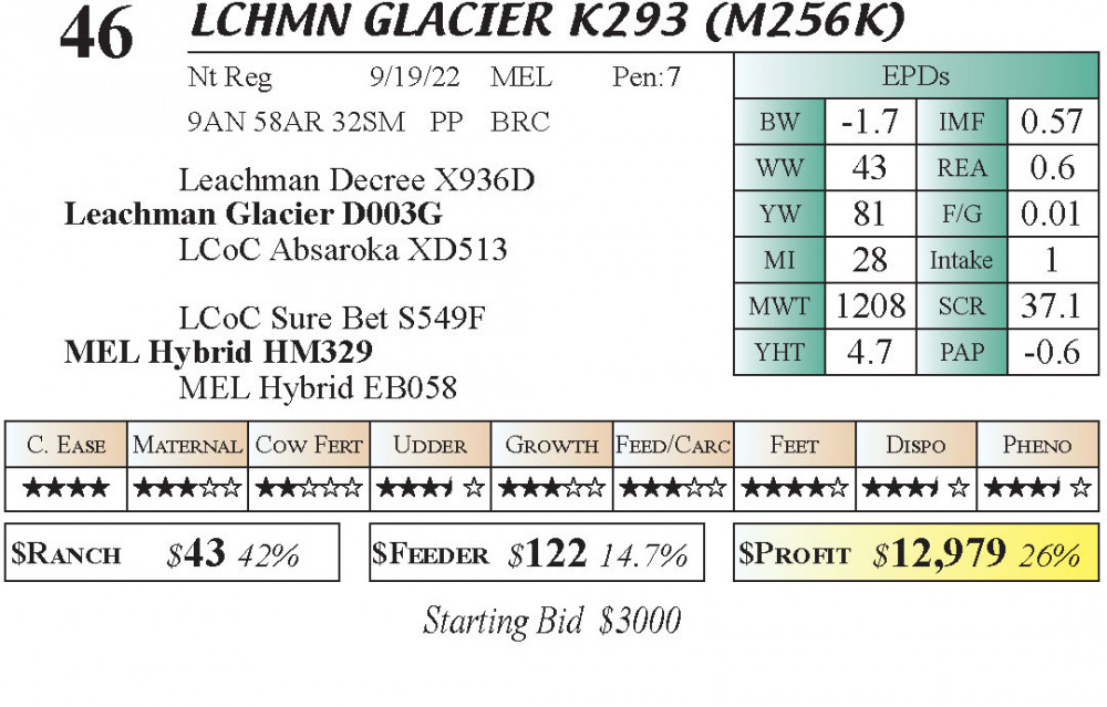 LCHMN Glacier K293 (M256K) - Leachman Cattle Company