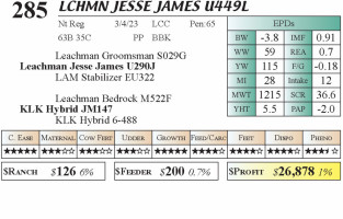 Browse Online Items - Leachman Cattle Company